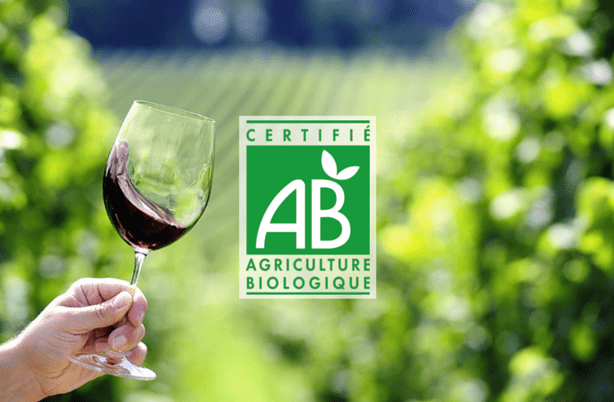 Un vin bio, c'est quoi? | Sélections Oeno