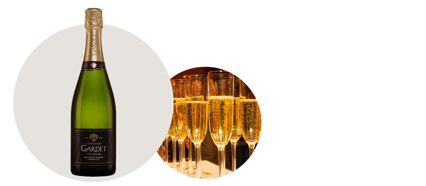 DISCOVER 10 EXCELLENT SPARKLING WINES & CHAMPAGNES STARTING AT $15!🍾 ...